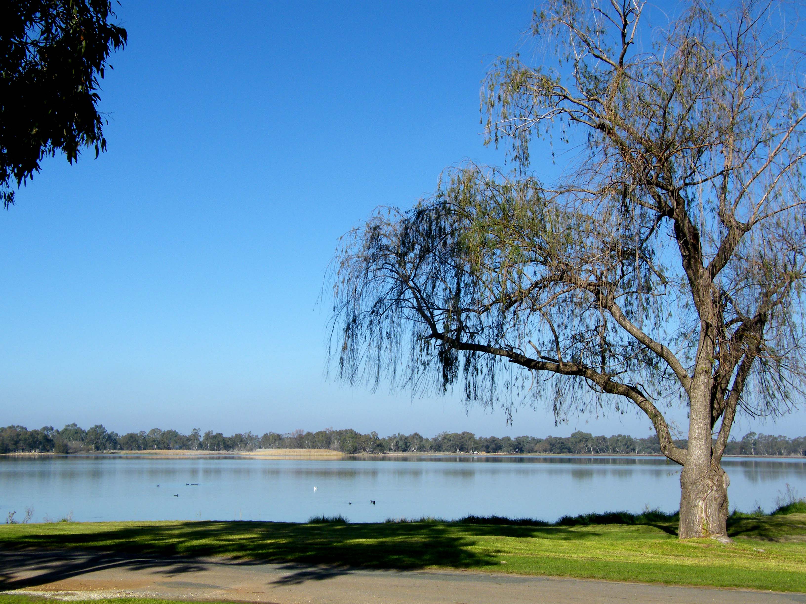 background_3 | Boort